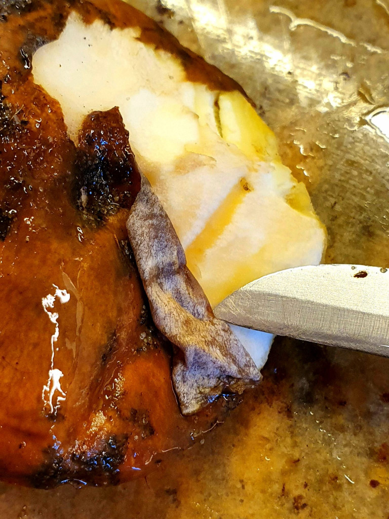 Waldpilz-Quitten-Ragout auf Nudelnestern - Concept Kitchen